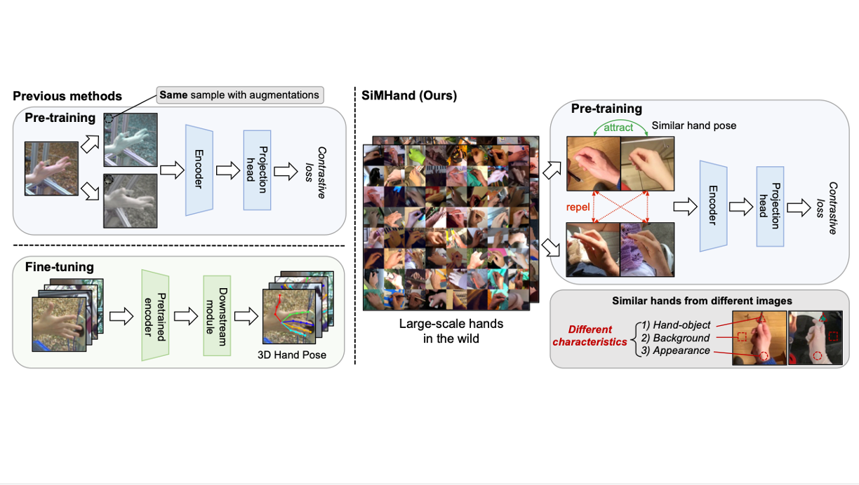 Nie Lin (林涅) - Homepage