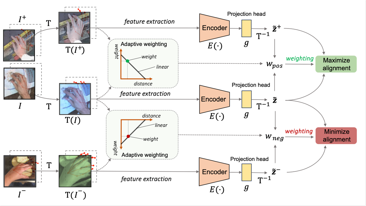 Nie Lin (林涅) - Homepage